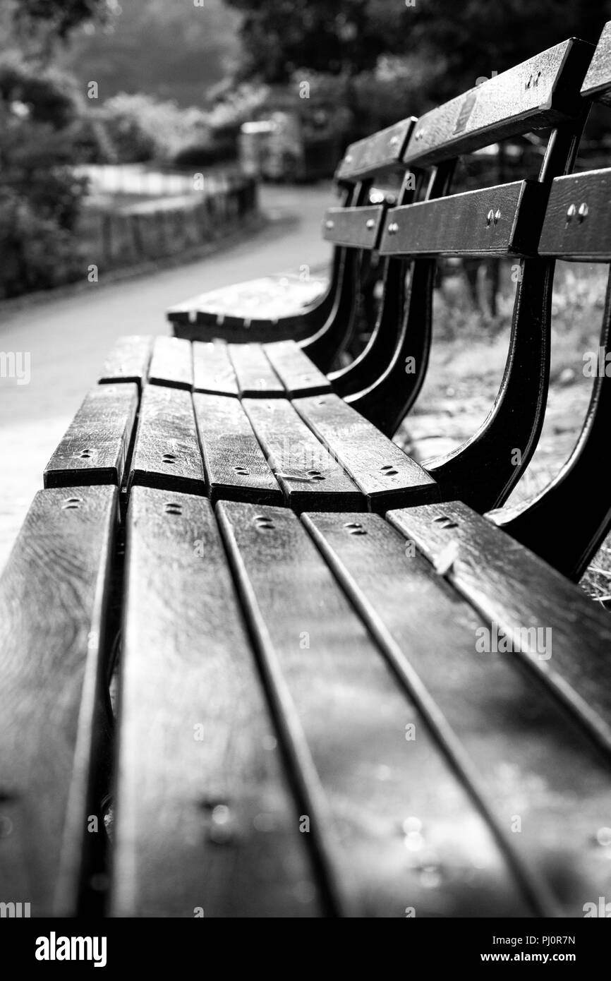 Low Viewpoint Photography