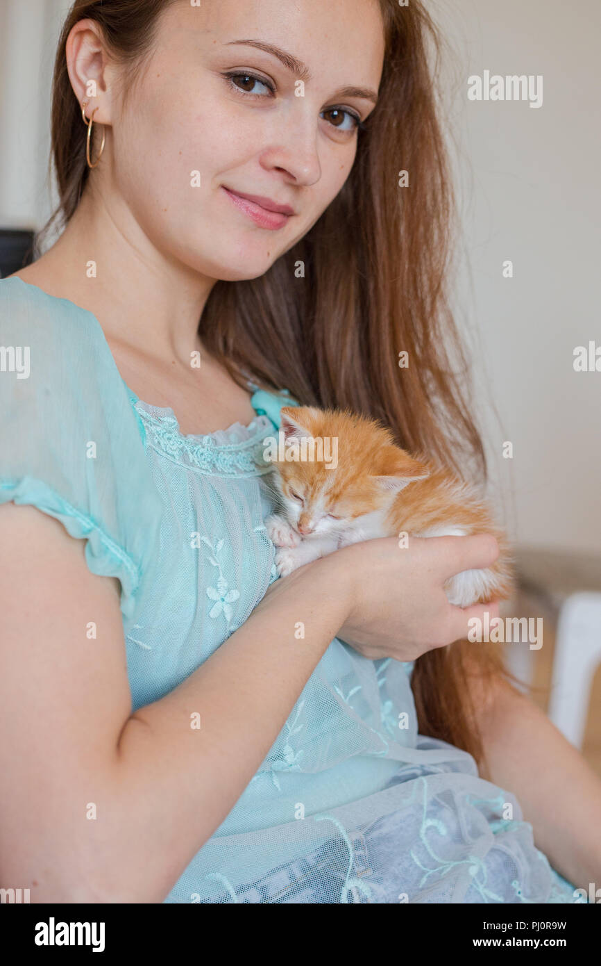 Close up of cute kitty in woman's hands Stock Photo - Alamy