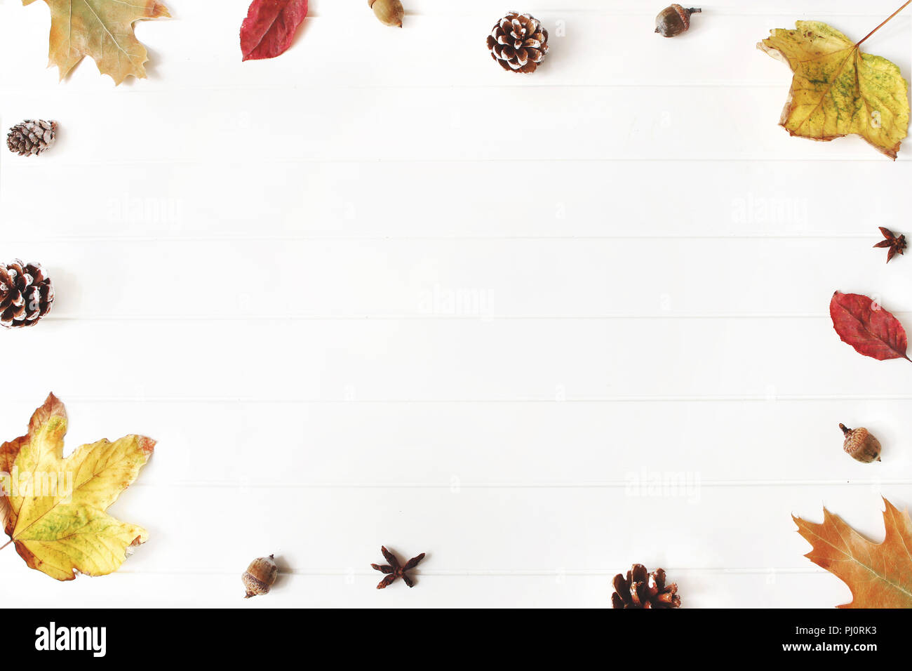 Autumn styled composition. Creative fall arrangement made of colorful ...