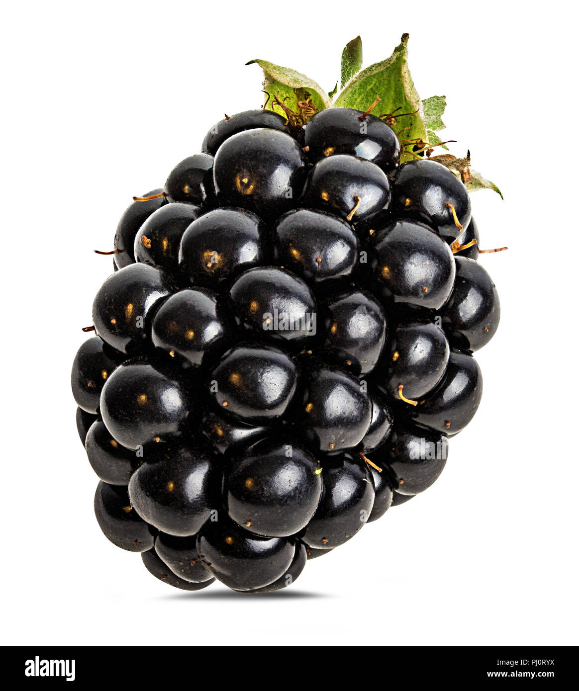 Blackberry isolated on white background clipping path Stock Photo - Alamy
