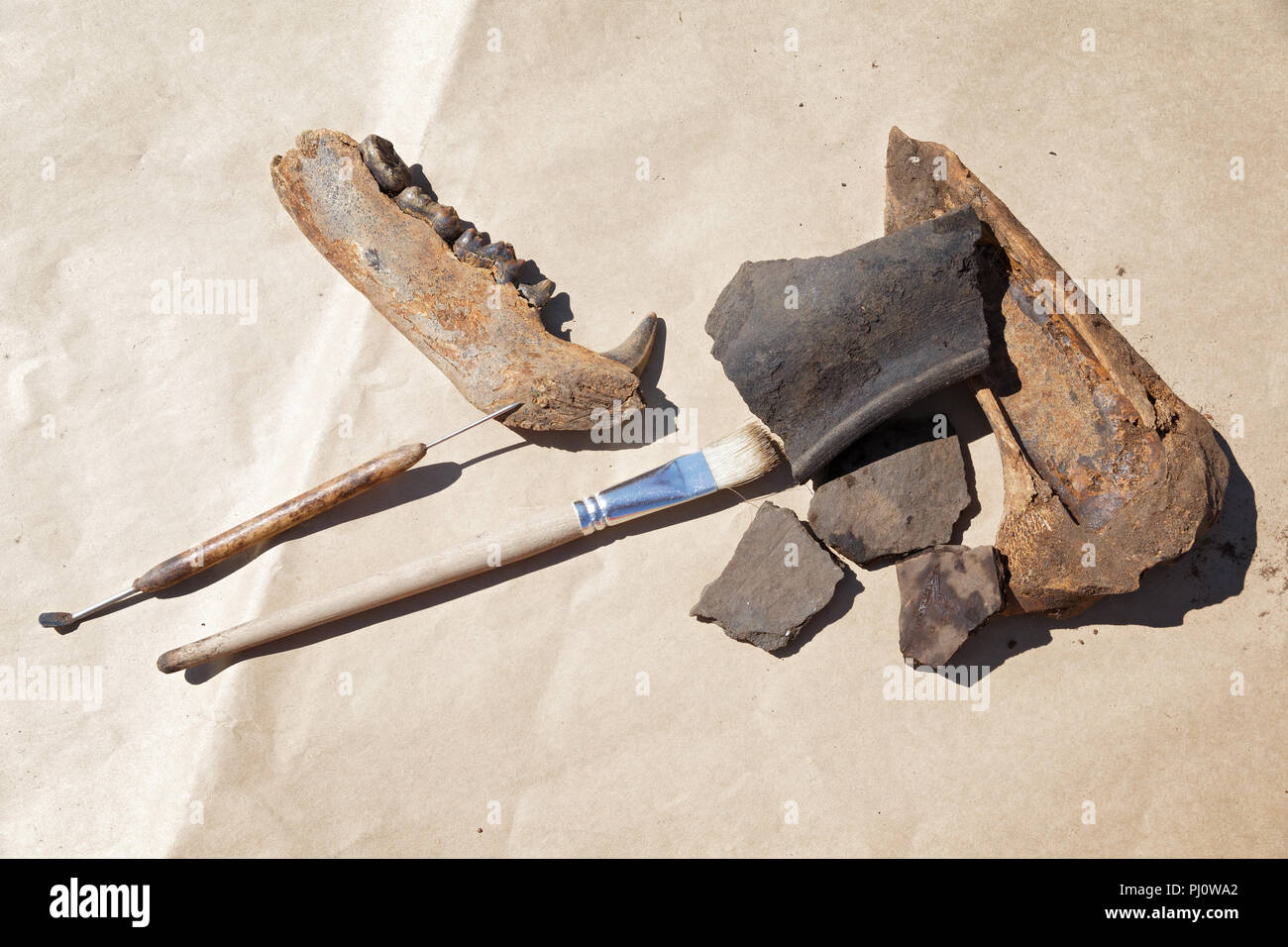 Archaeology tools hi-res stock photography and images - Alamy