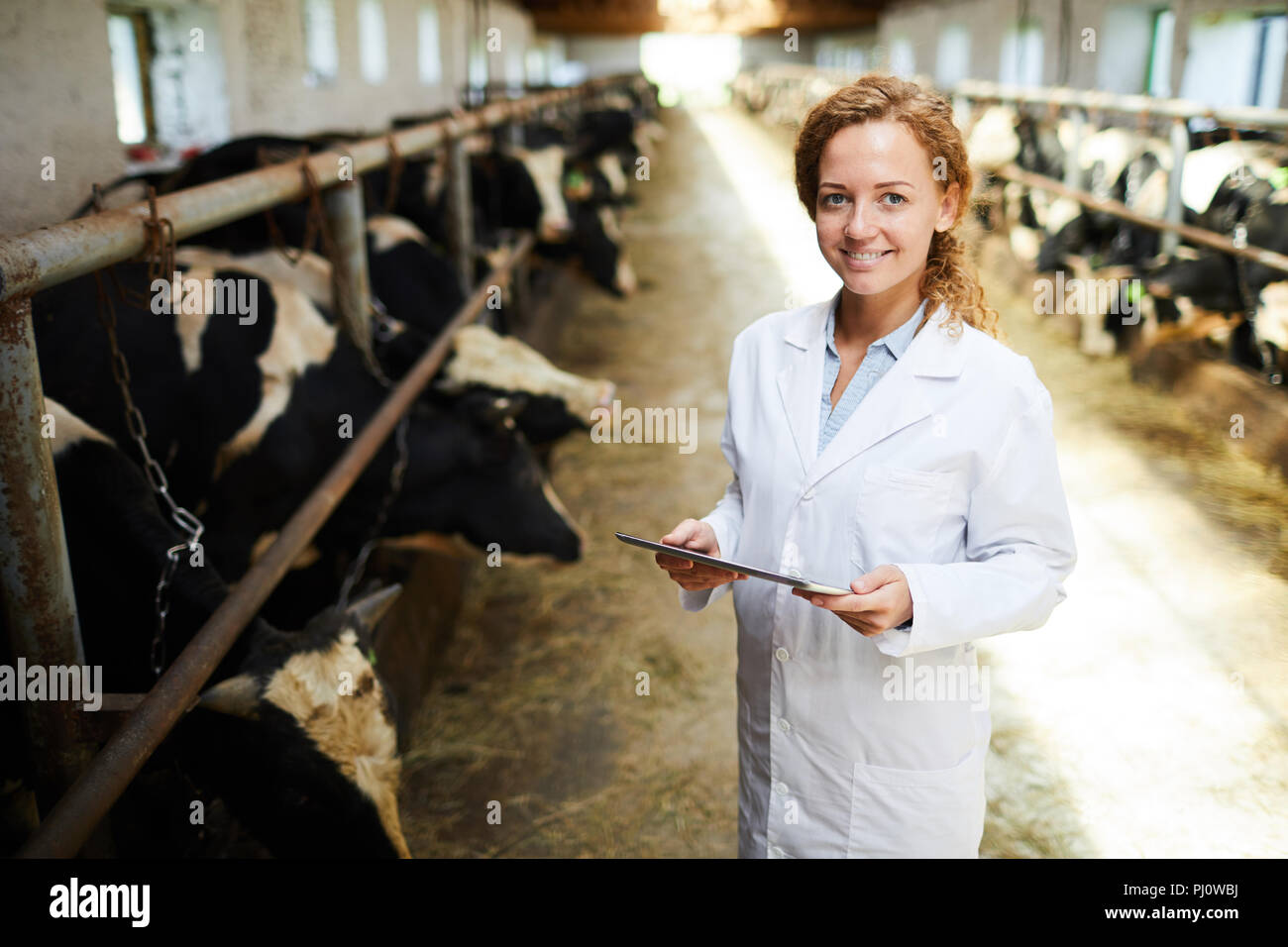 Female Veterinarian Working at Farm Stock Photo - Alamy