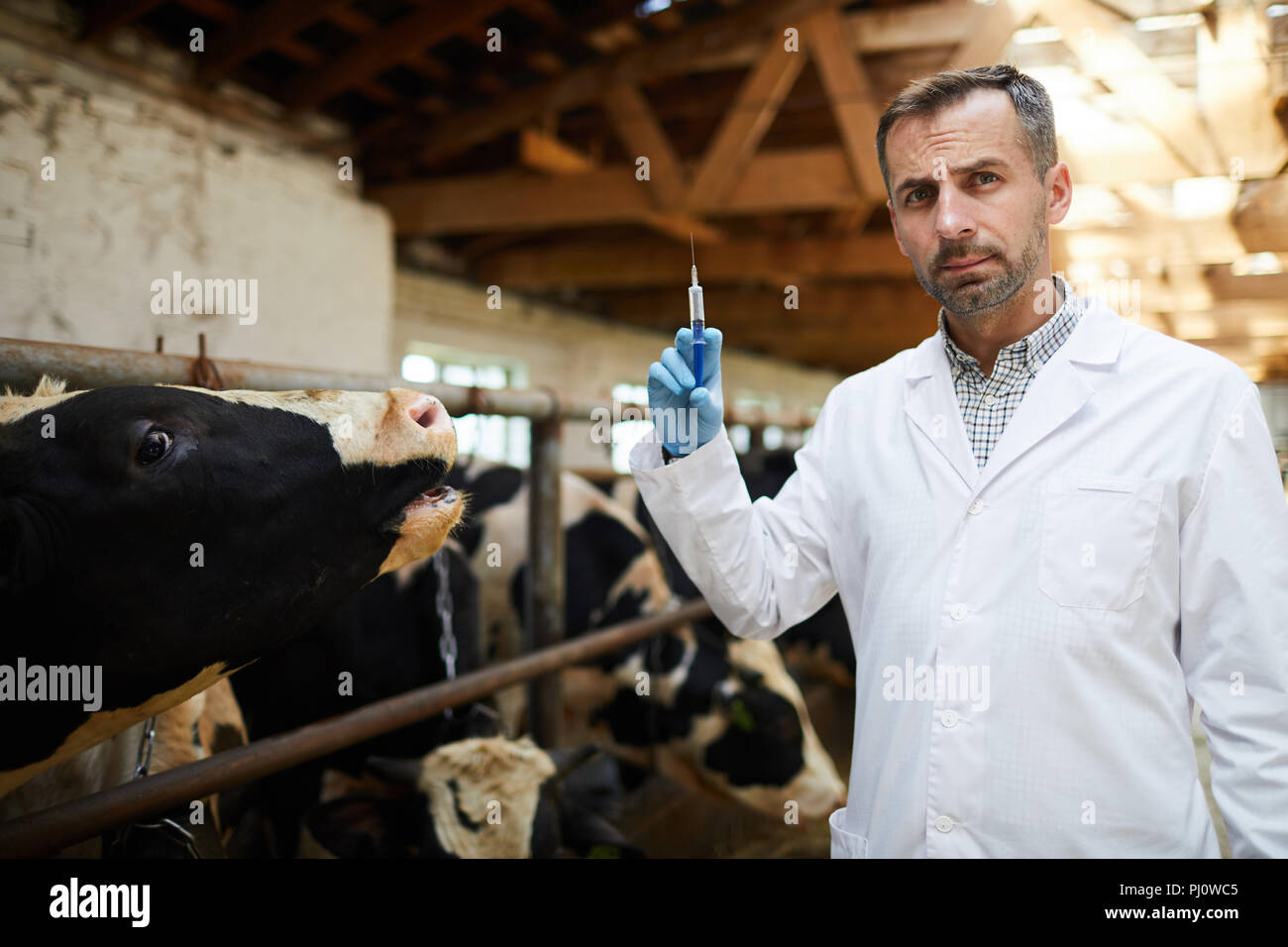 Treating meat hi-res stock photography and images - Alamy