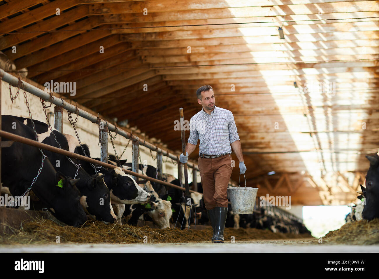 Farmer cleaning cow barn hi-res stock photography and images - Alamy
