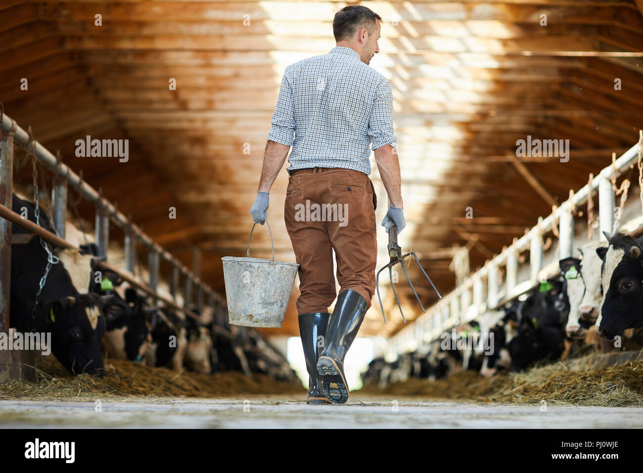 Farmer cleaning cow barn hi-res stock photography and images - Alamy