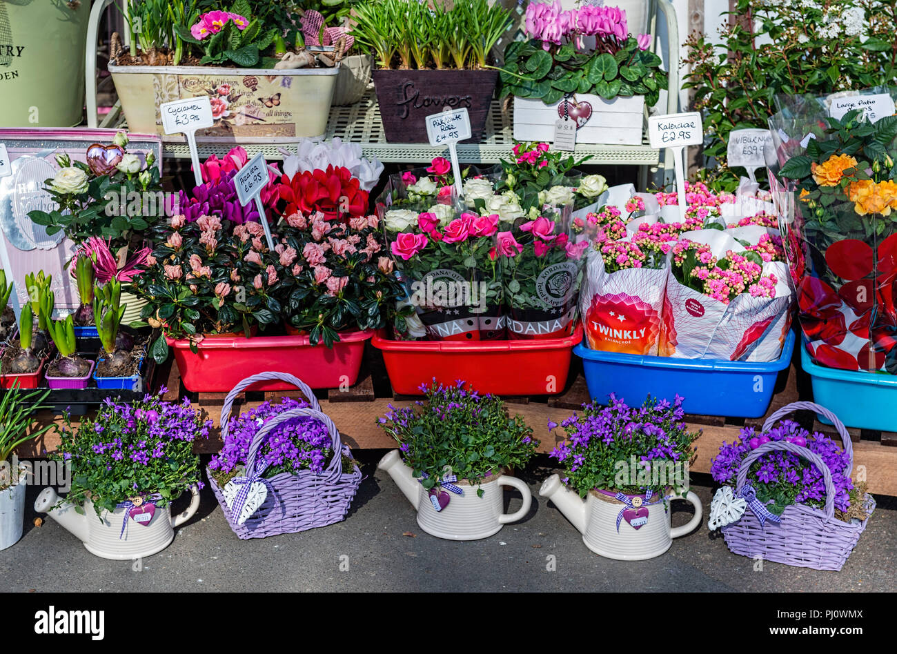 Floral display outside florist shop hi-res stock photography and images ...