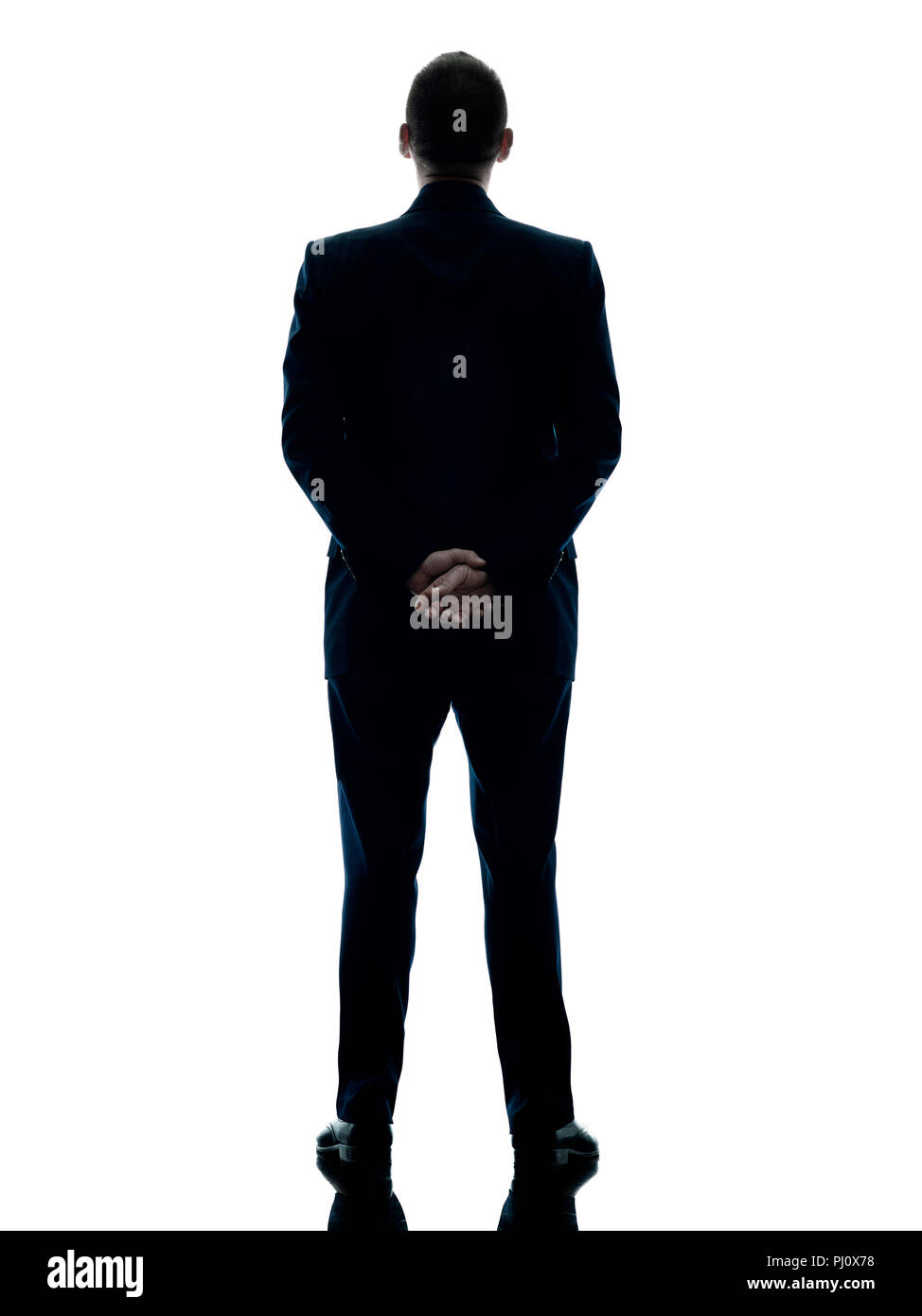 one caucasian business man standing rear view silhouette isolated on white background Stock ...