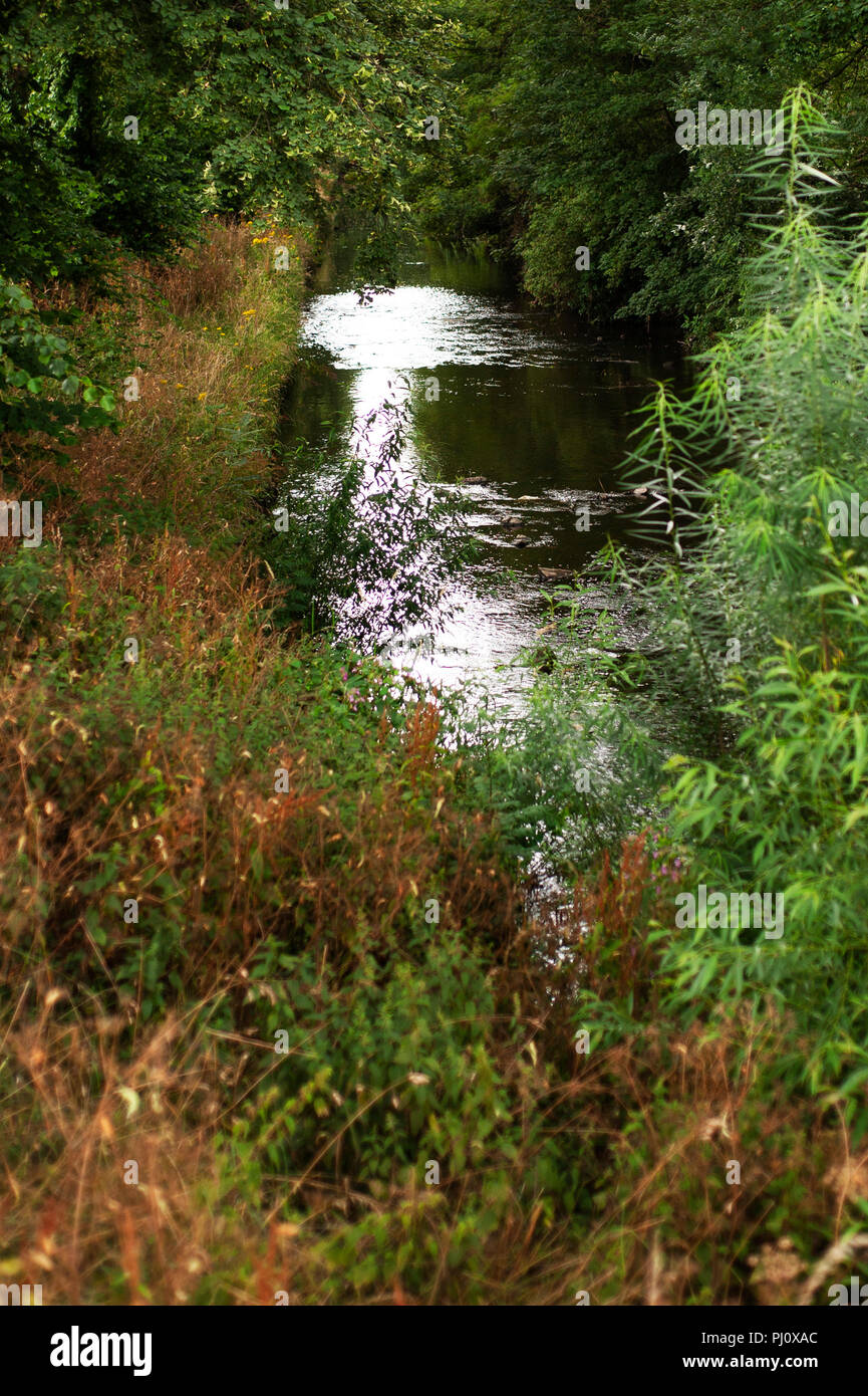 The River Skerne, Bright water project, Darlington, County Durham ...