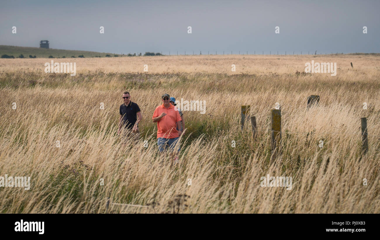 Bempton cliffs rspb hi-res stock photography and images - Alamy