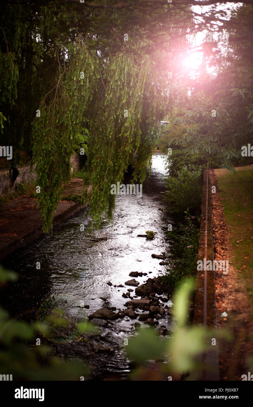 The River Skerne, Bright water project, Darlington, County Durham ...