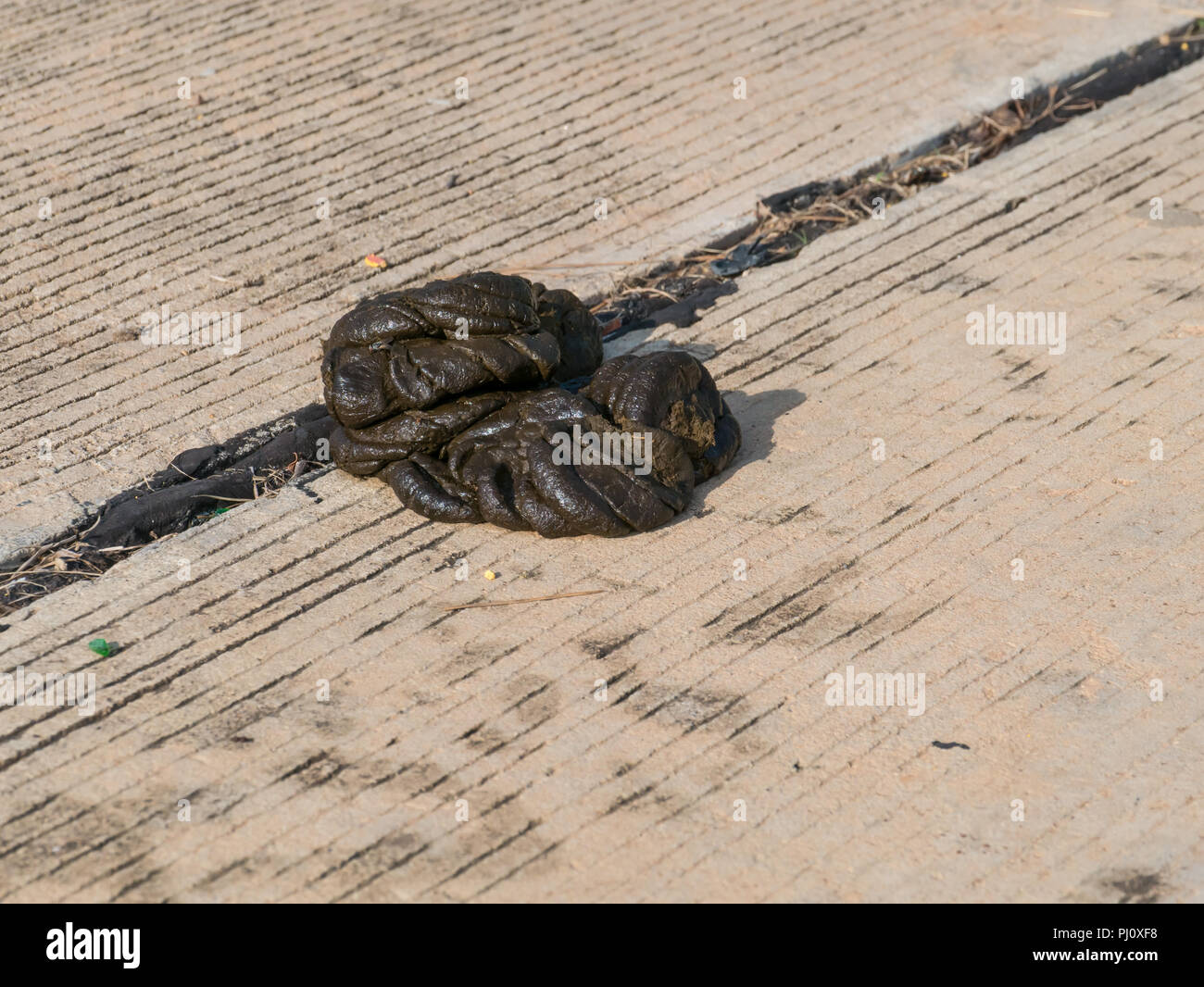 the Fertilizer pellets cow on cement, Picture of fresh cow pat or cow ...