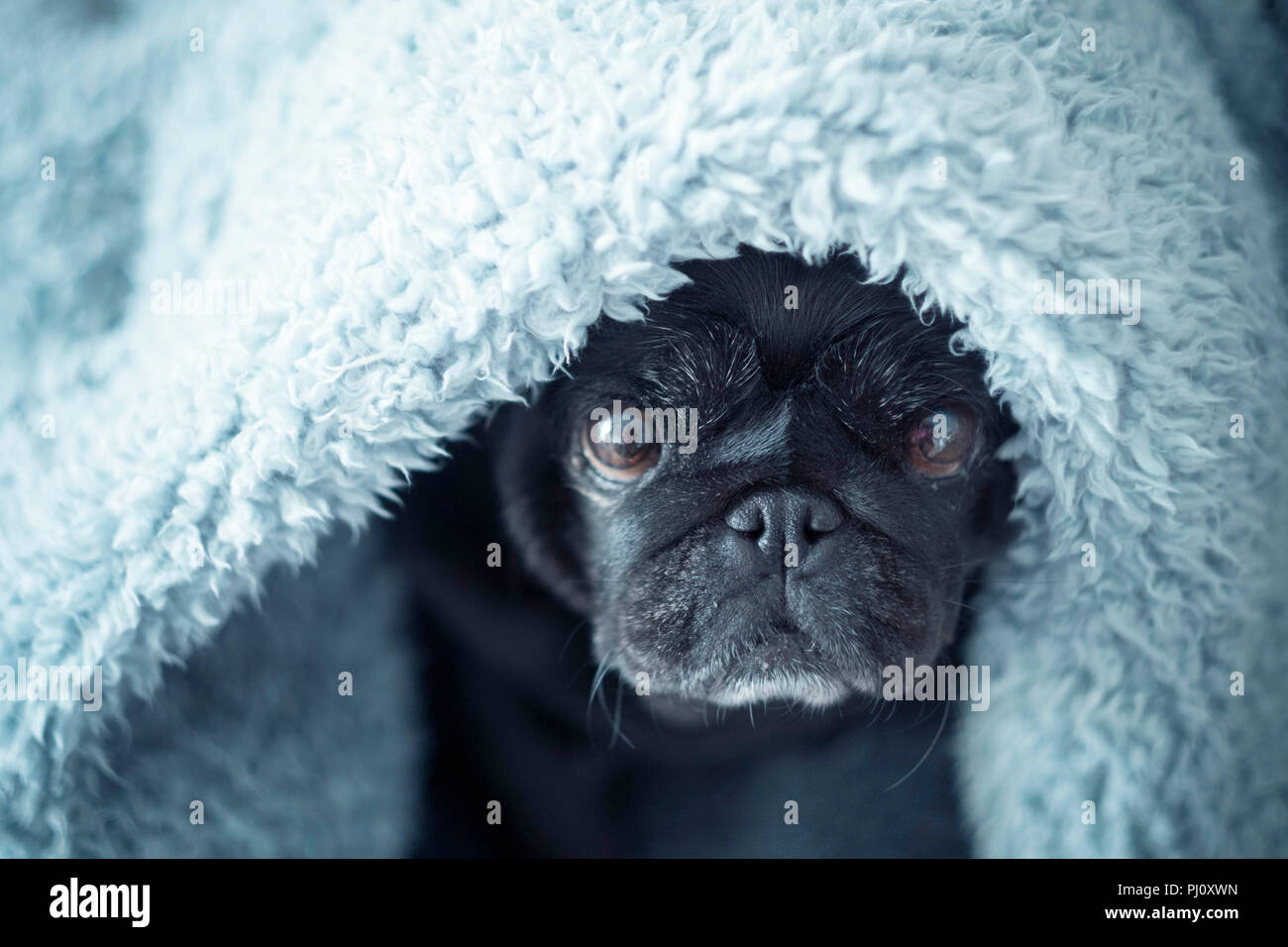 Rapper wallpaper hi-res stock photography and images - Alamy