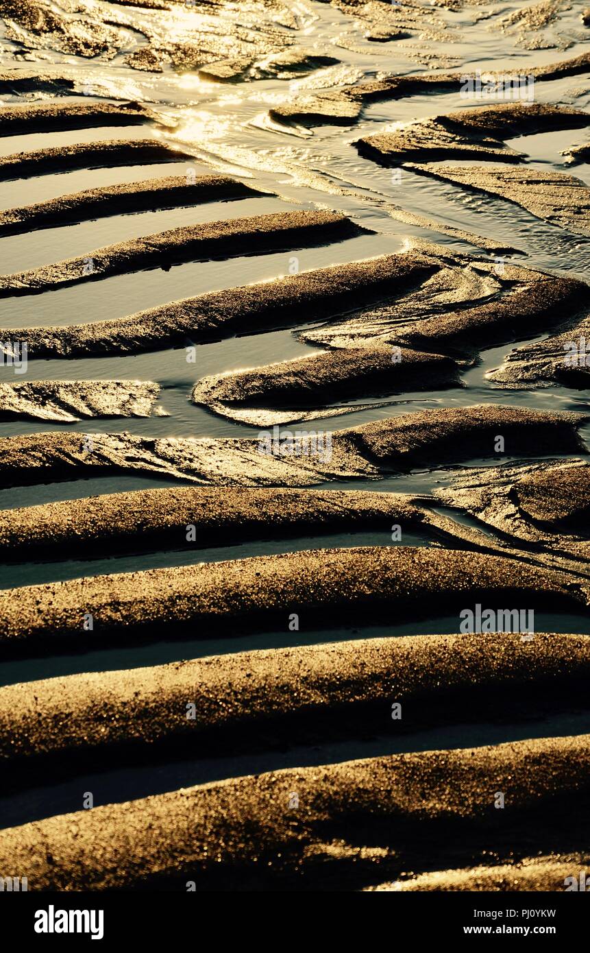 High key, graphic image, ripples and ridges in the sand caused by the ...