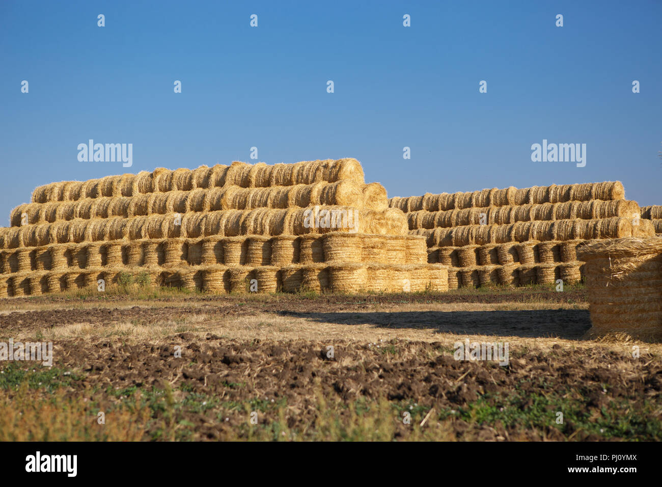 Haystack in agricultural field under the blue sky. Autumn harvest on ...