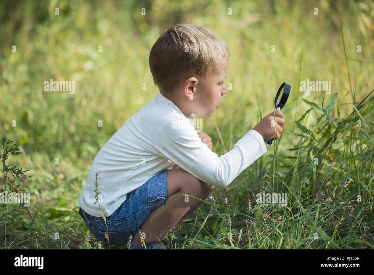 Young boy looking for insects hi-res stock photography and images - Alamy