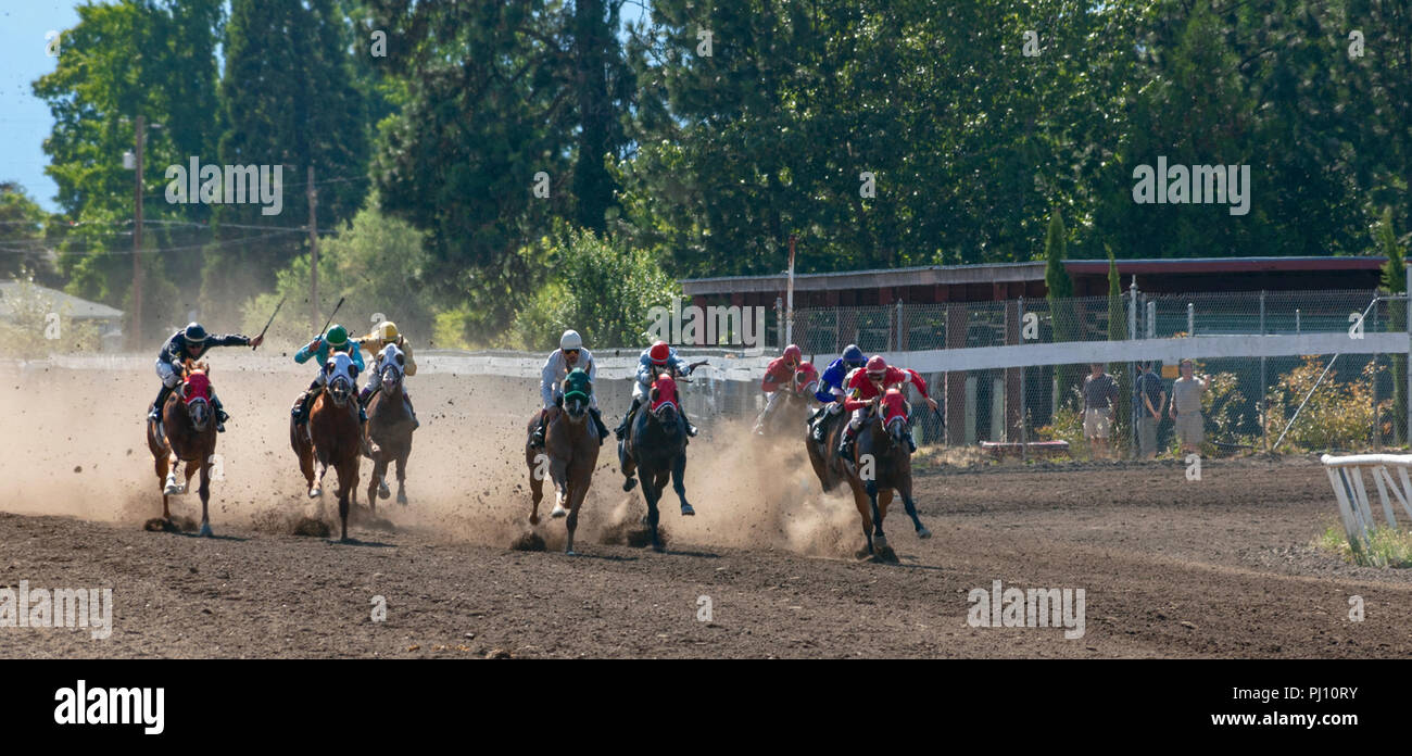 Quarter horse racing hi-res stock photography and images - Alamy