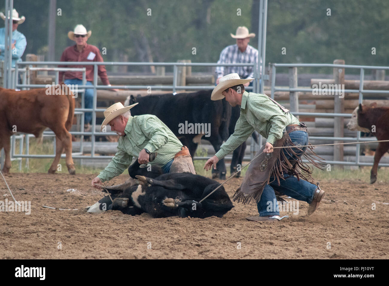 Ranch Hands compete in the mock branding competition during the ranch ...