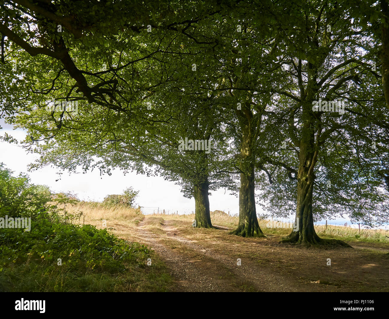 Rolling on chair hi-res stock photography and images - Alamy