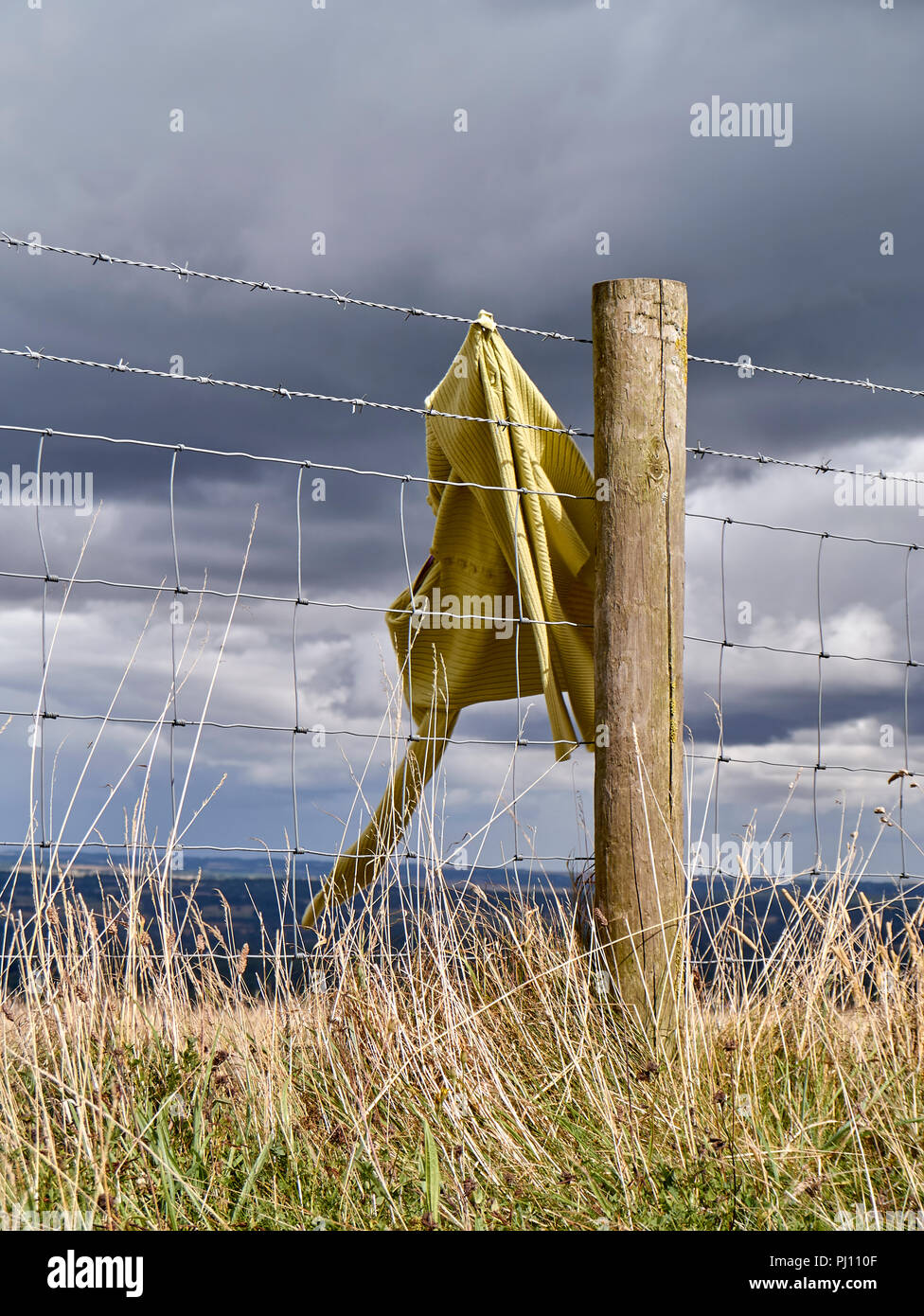 Stuck on wire hi-res stock photography and images - Alamy