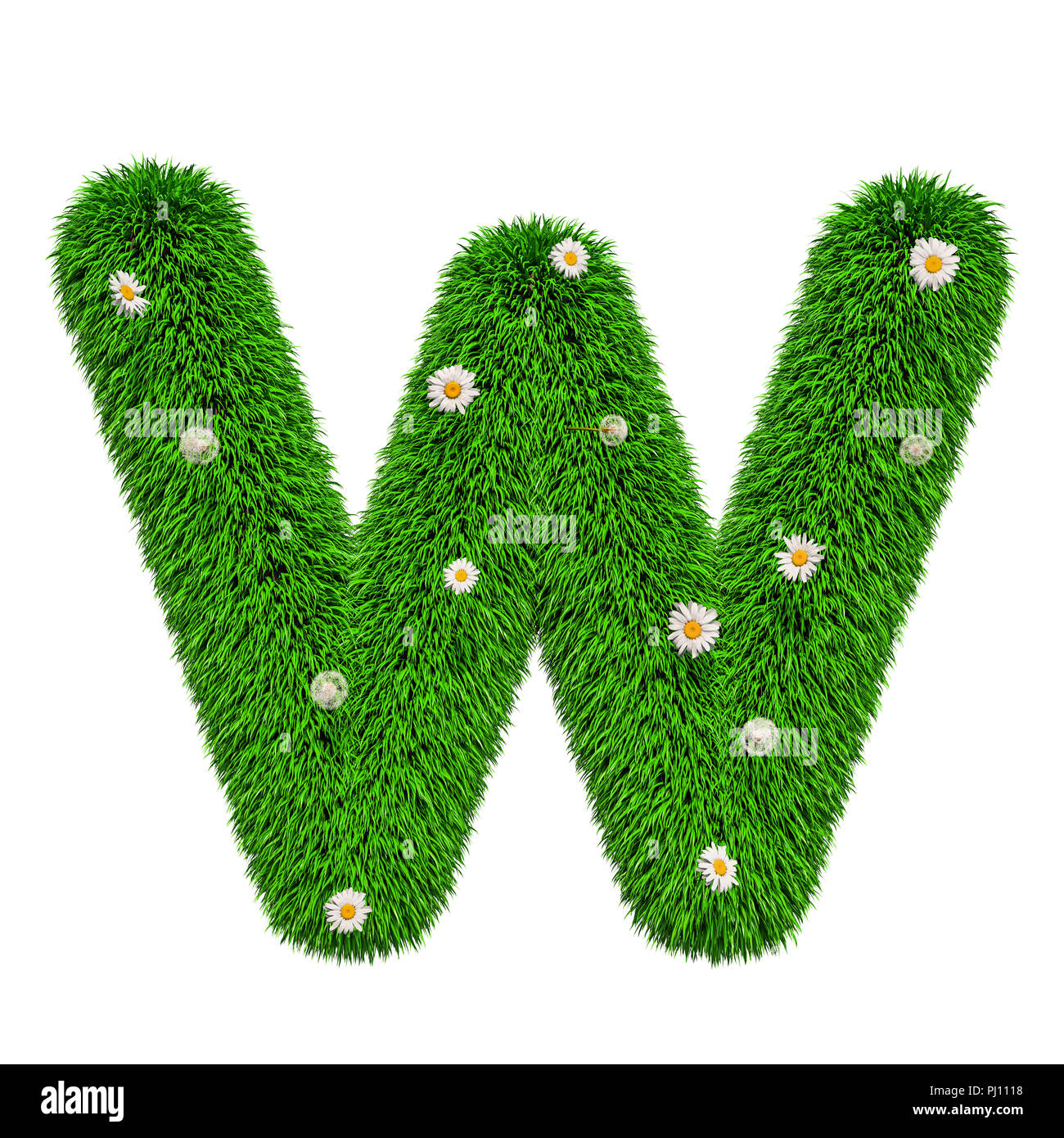 Green W Logo