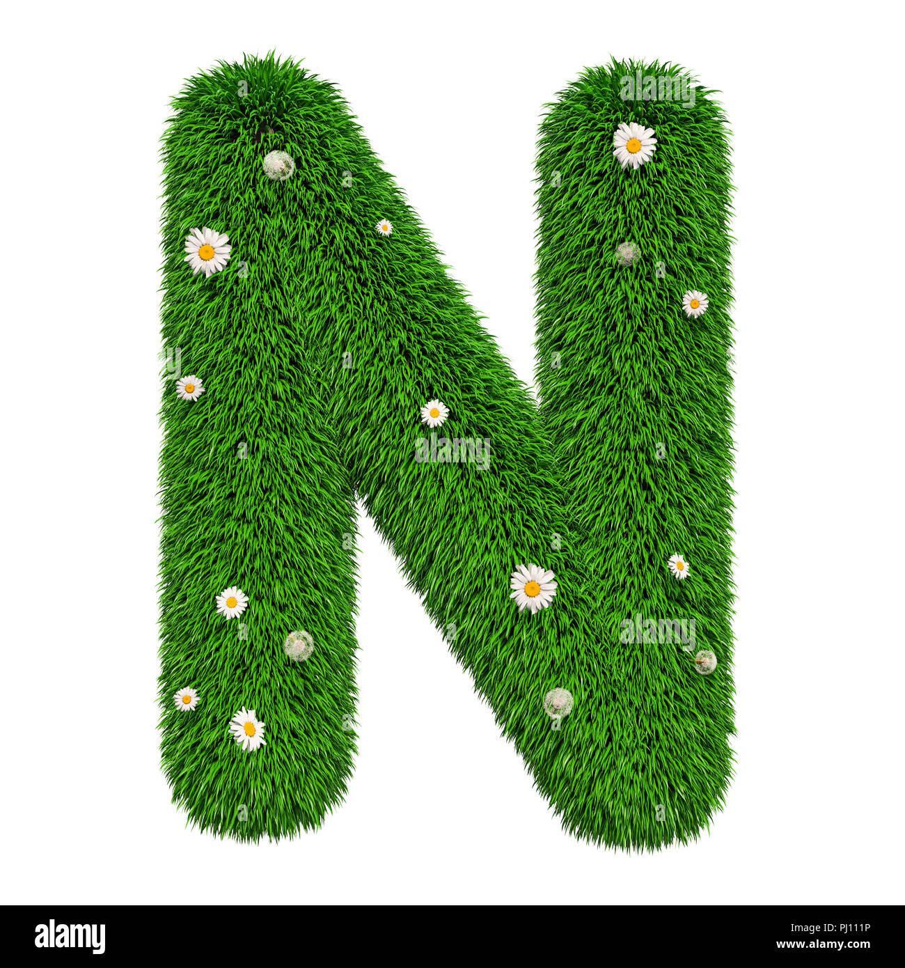 Letter N Flowers Cut Out Stock Images & Pictures - Alamy