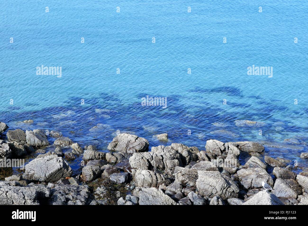 The rugged rocks on the water's edge. Coverack beach, The Lizard ...
