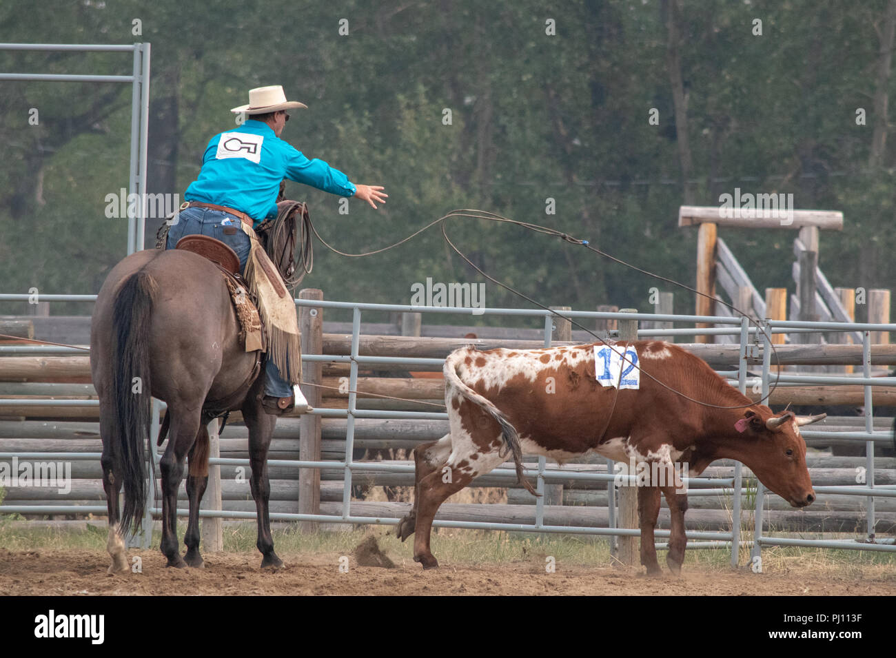 Doctoring hi-res stock photography and images - Alamy
