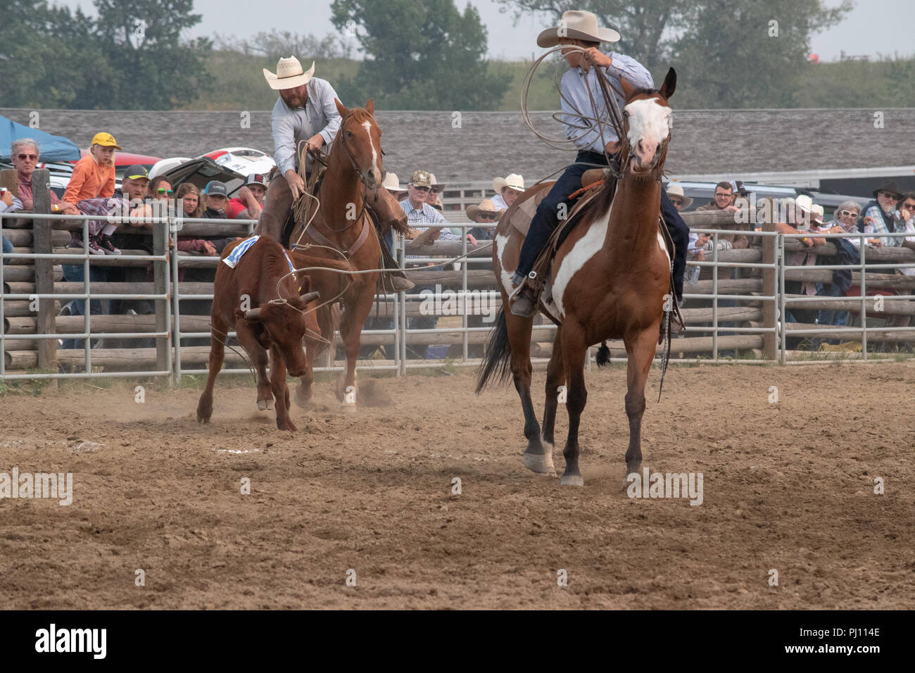 Doctoring hi-res stock photography and images - Alamy