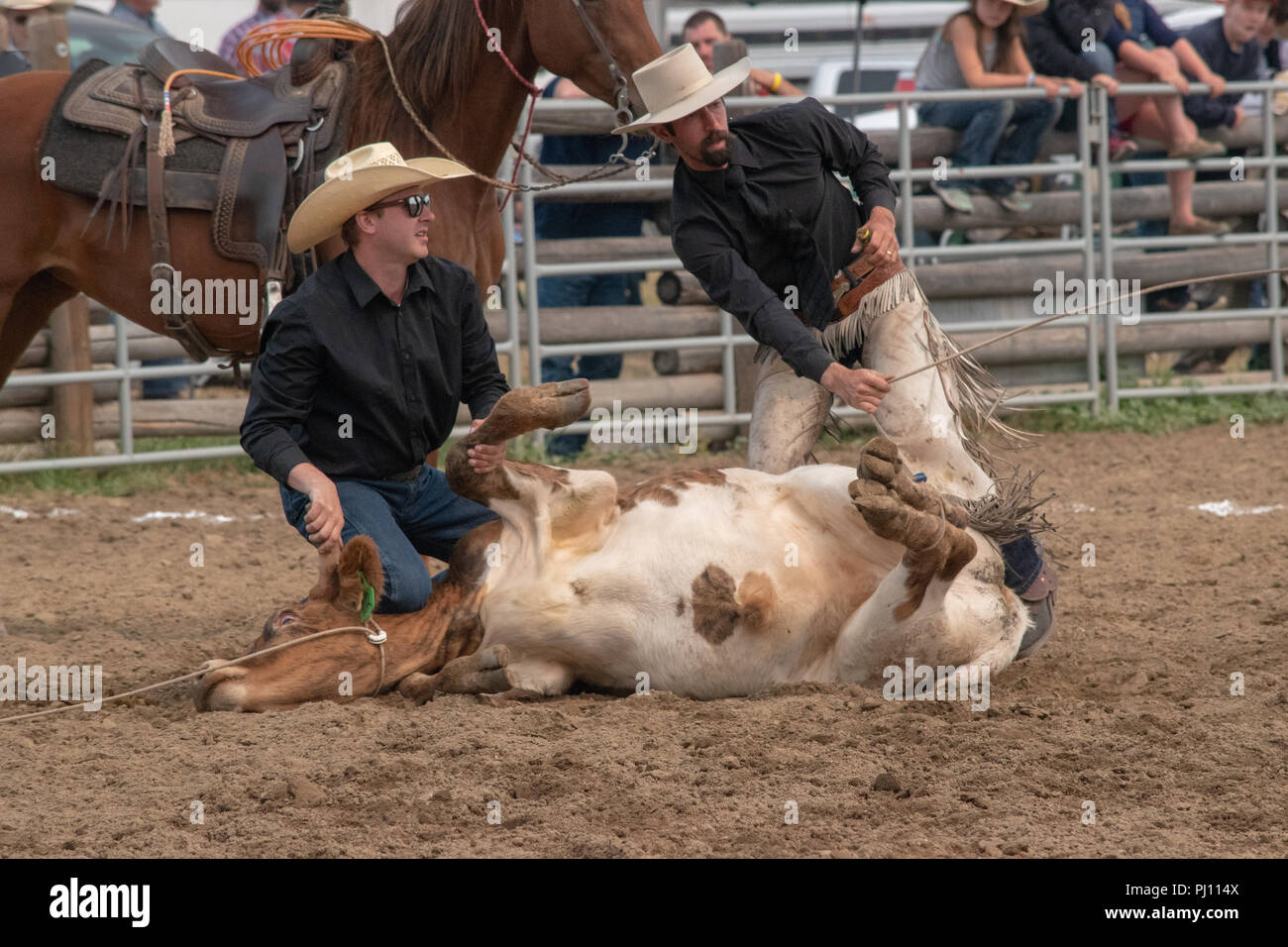 Doctoring hi-res stock photography and images - Alamy