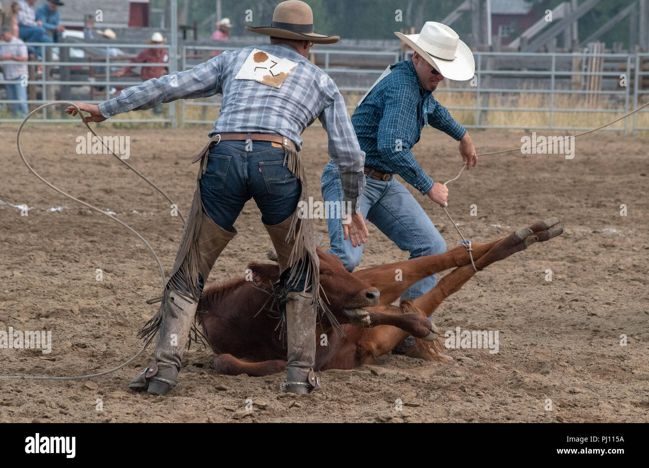 Doctoring hi-res stock photography and images - Alamy