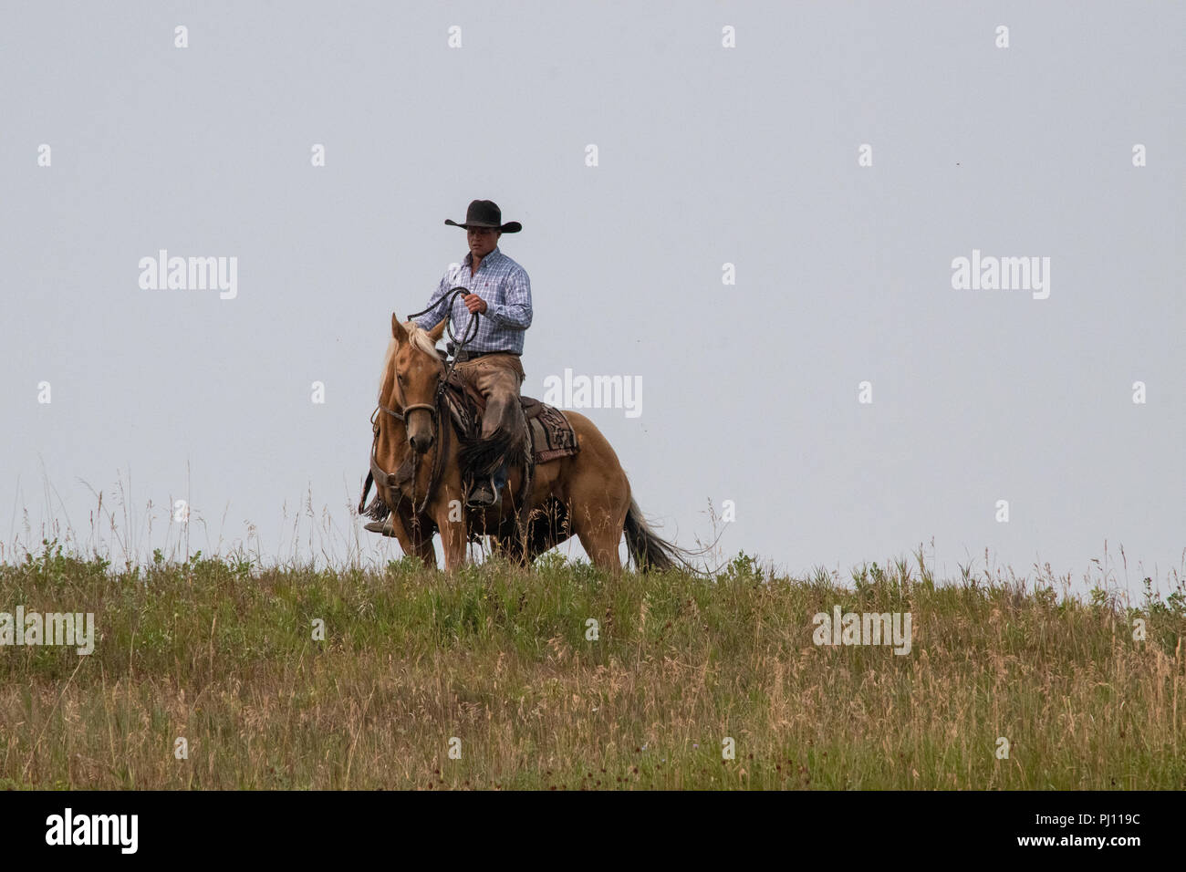 Lone cowboy hi-res stock photography and images - Alamy