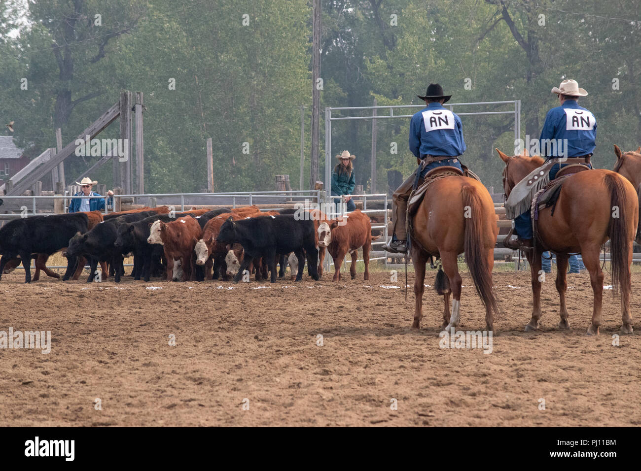 Ranch hands hi-res stock photography and images - Alamy