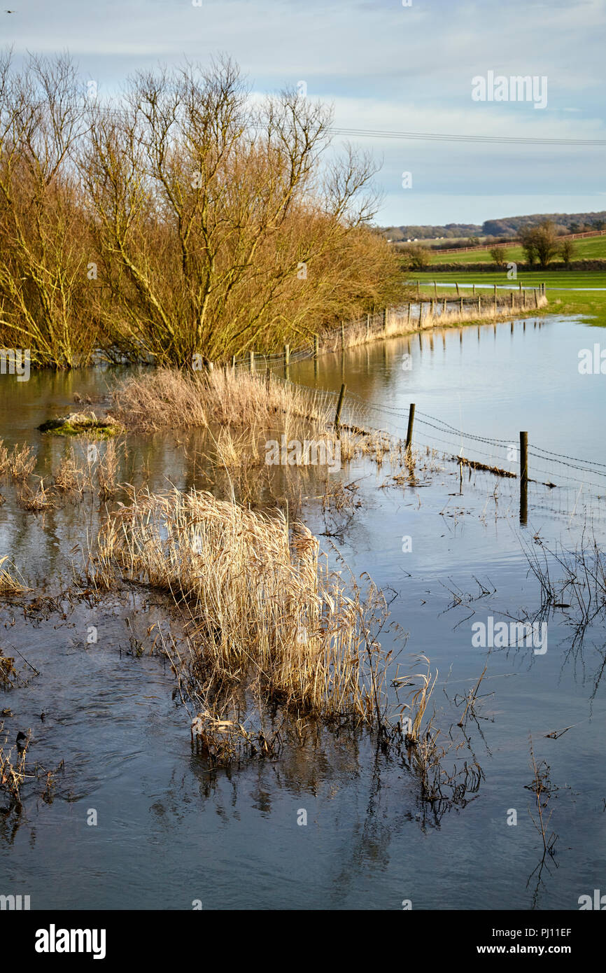 English flood hi-res stock photography and images - Alamy
