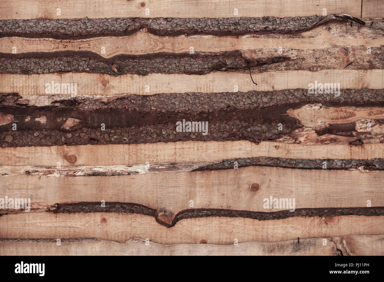 Rough wooden wall made of pine tree planks with bark, background photo ...