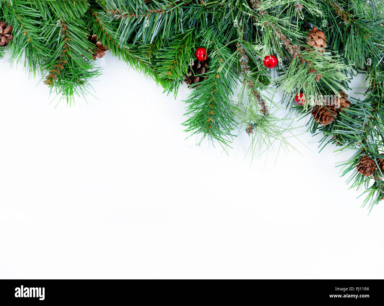 Christmas tree evergreen branches on white background Stock Photo - Alamy