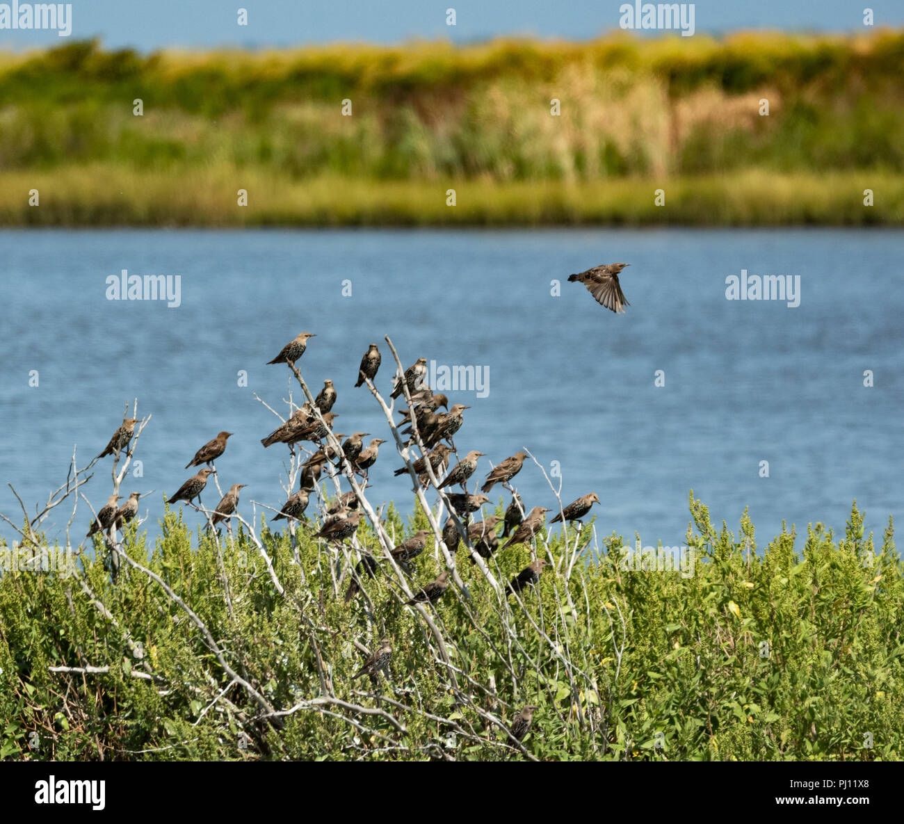 Go my own way hi-res stock photography and images - Alamy