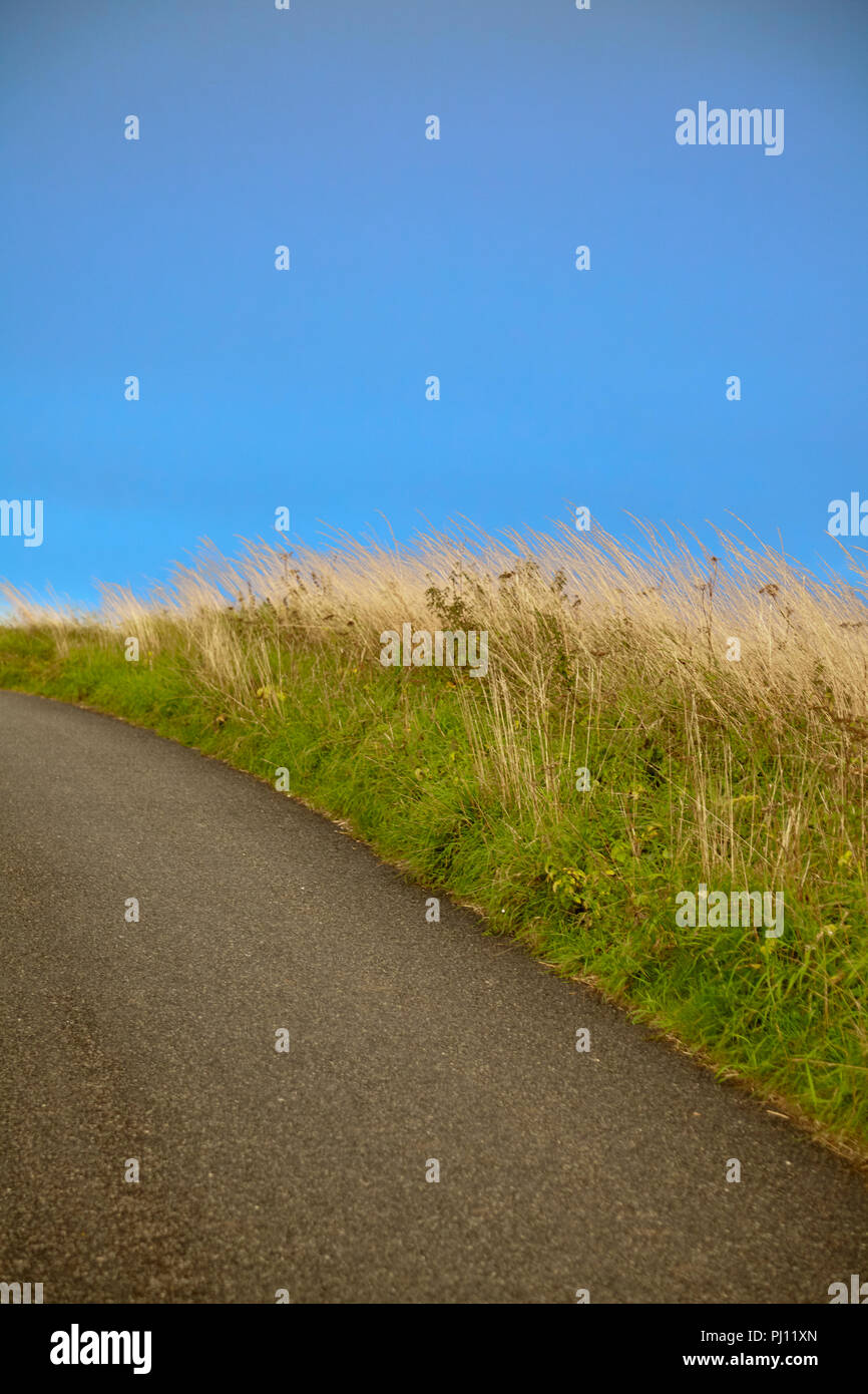 Lane by field in English countryside Stock Photo - Alamy
