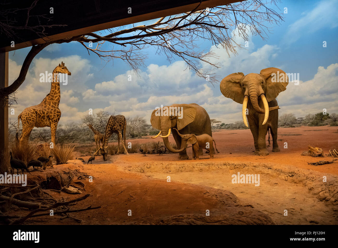 The Natural History Museum of Los Angeles County is the largest natural ...