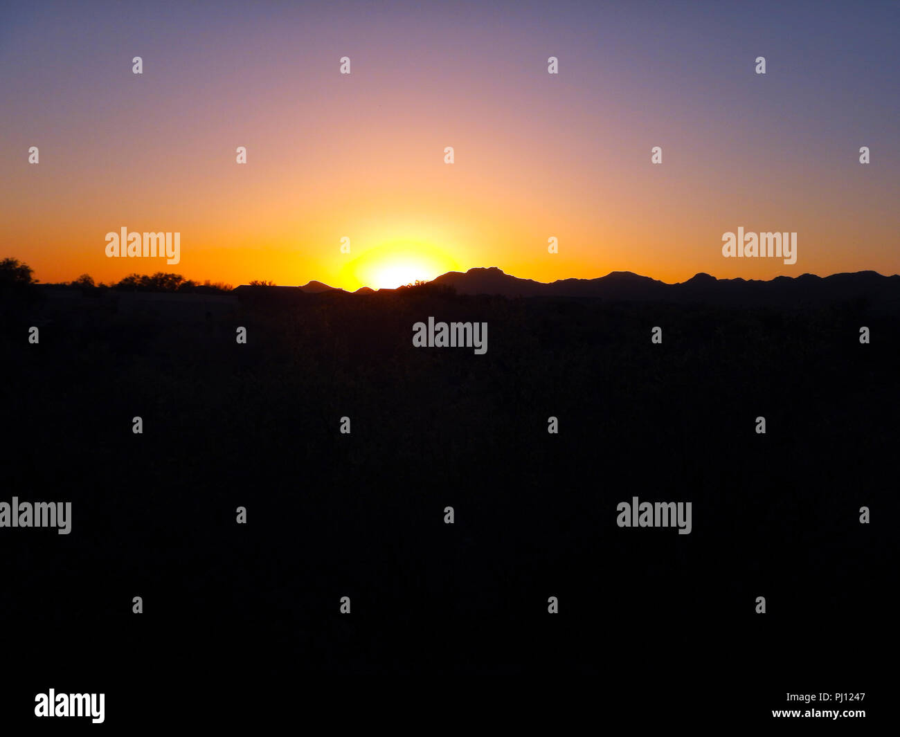 A Saguaro desert sunset Stock Photo - Alamy