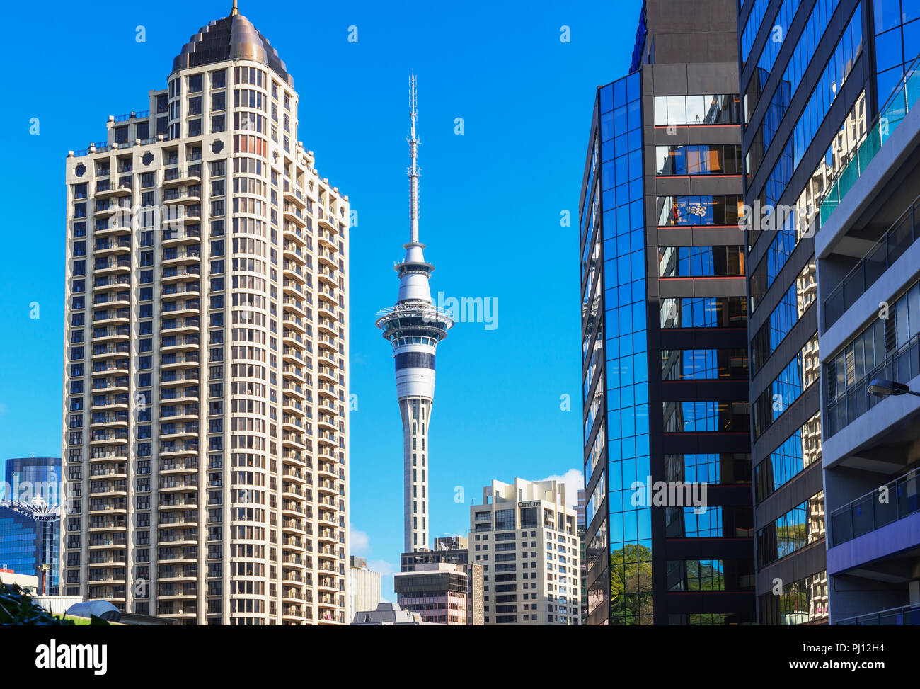 Auckland sky tower new zealand hi-res stock photography and images - Alamy
