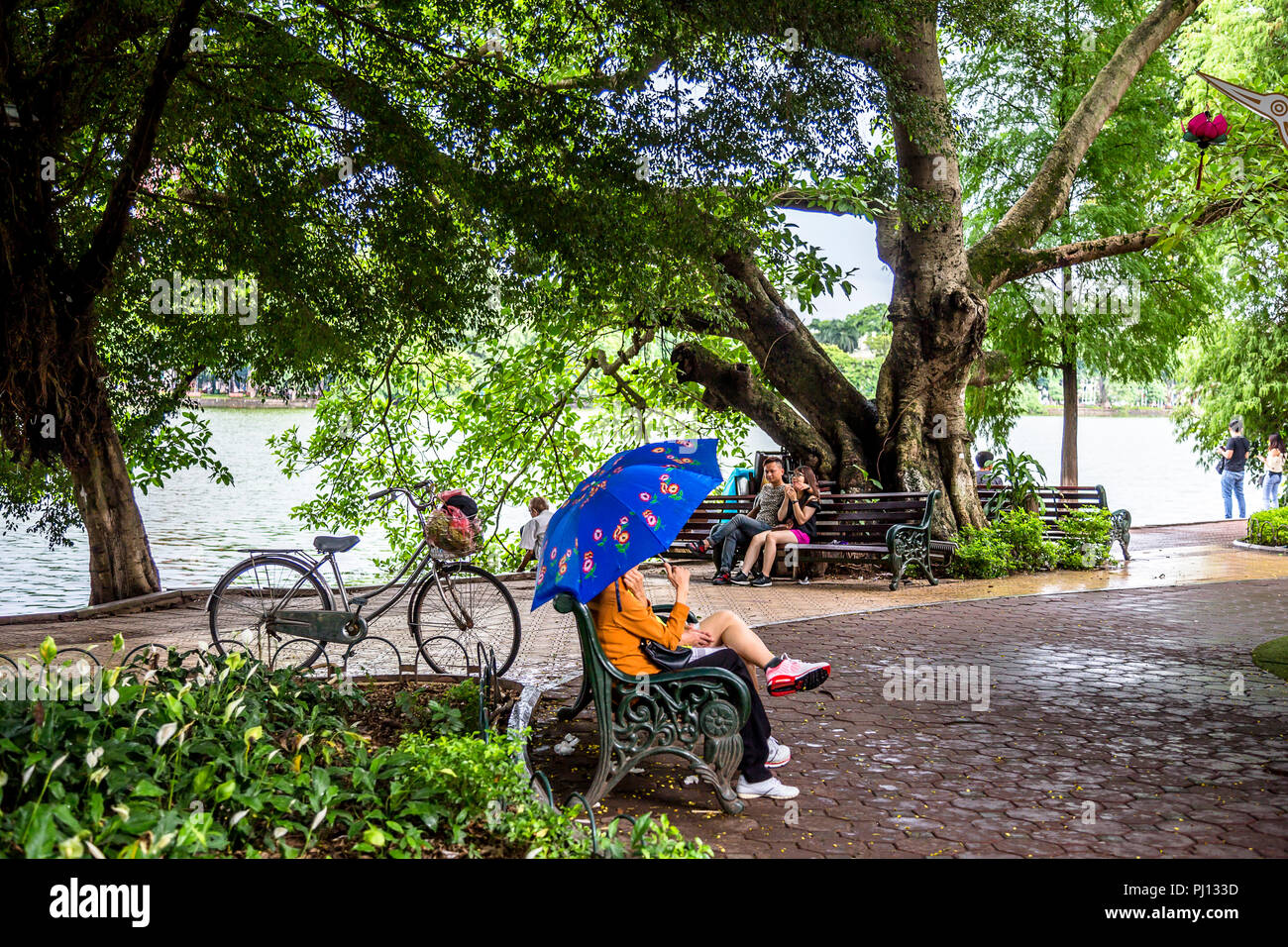 Man sitting under shade tree hi-res stock photography and images - Alamy