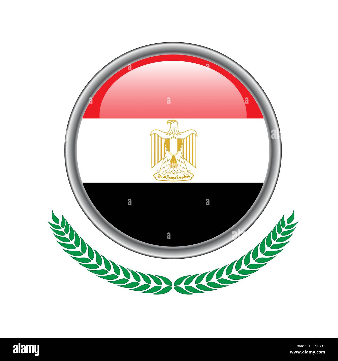 Egypt flag button. Egypt flag icon. Vector illustration of egypt flag ...
