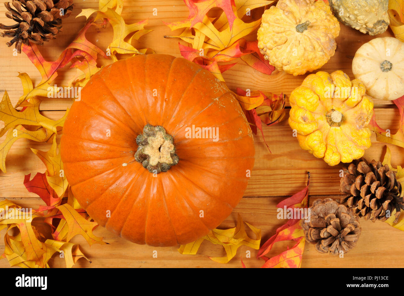 Pumpkin with autumn leaves, pine cones and gourds Stock Photo - Alamy
