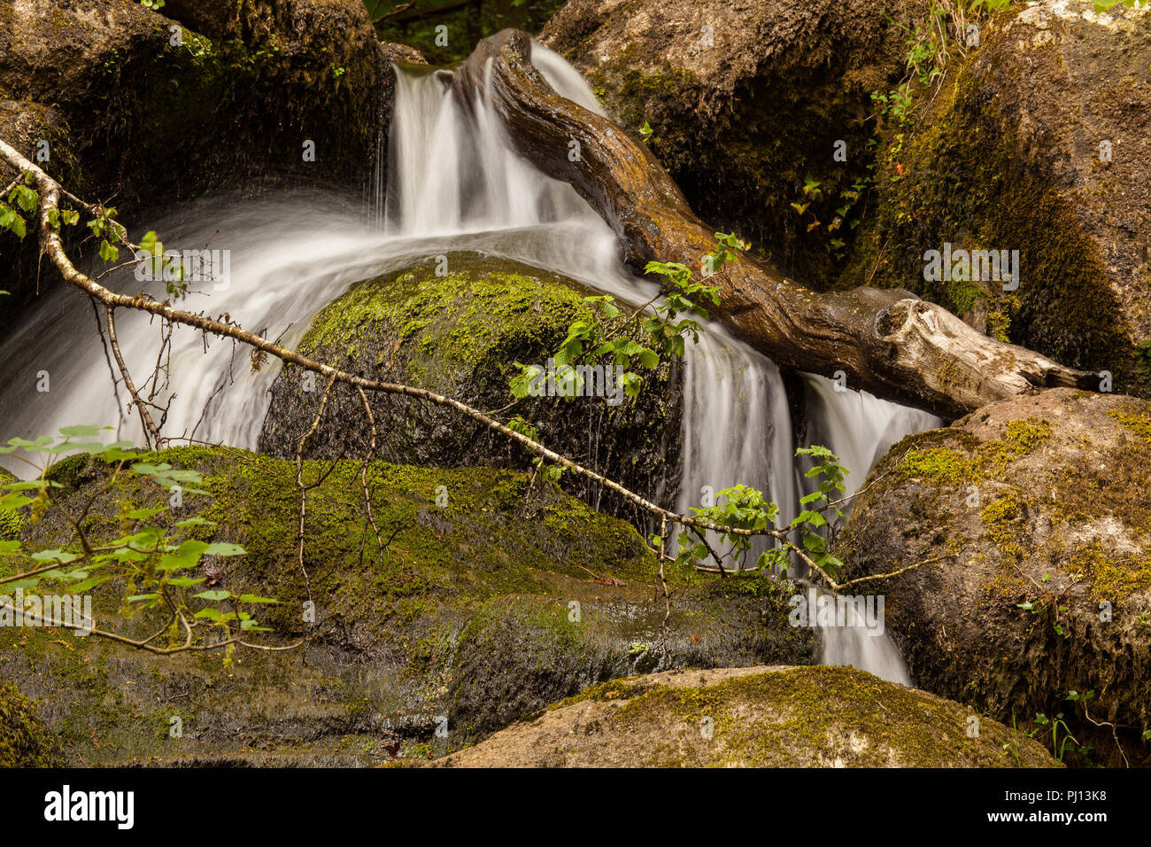 Becky Falls, Wasserfälle am Dartmoor, Devon, UK Stock Photo - Alamy