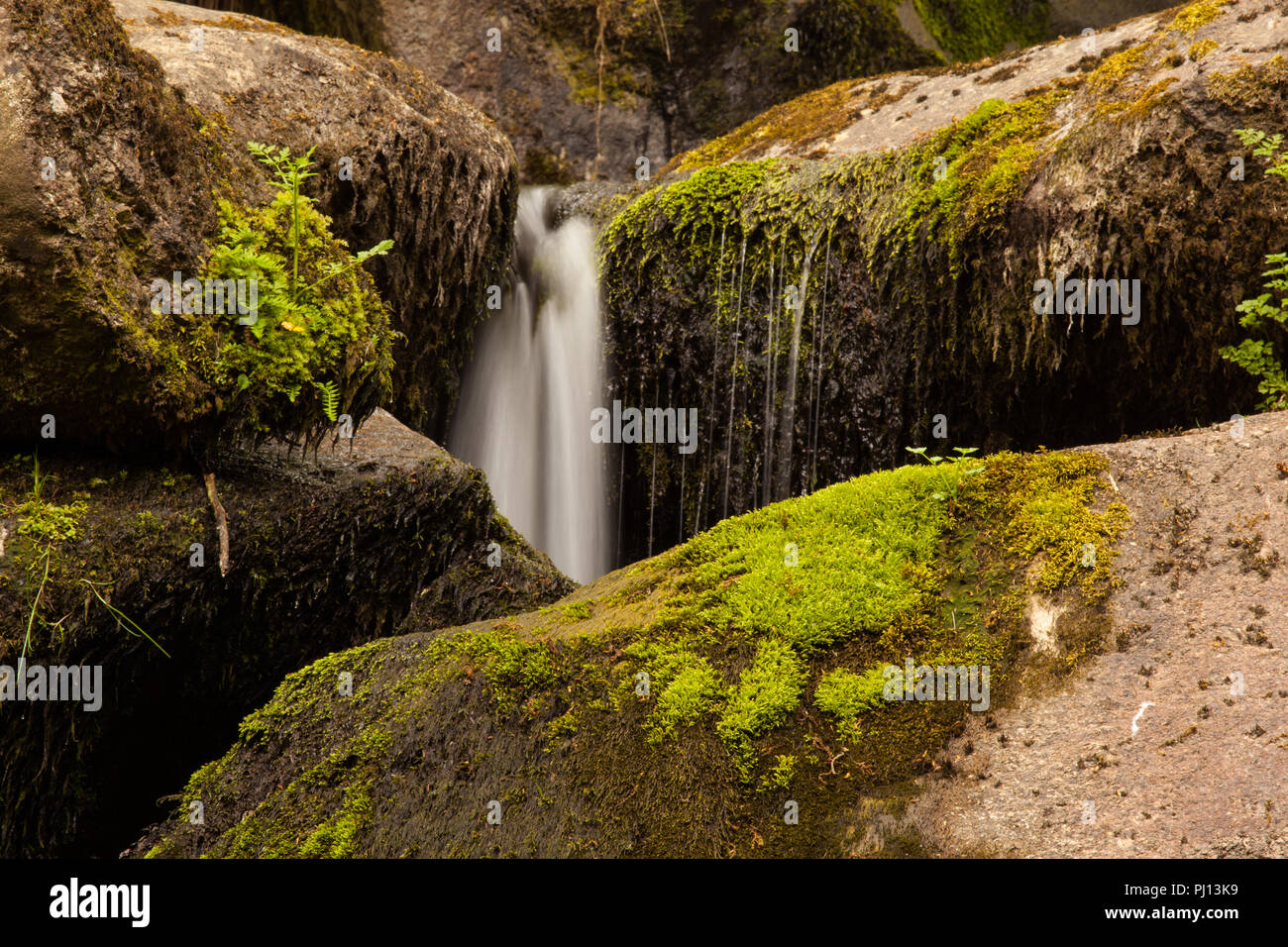 Becky falls dartmoor hi-res stock photography and images - Alamy