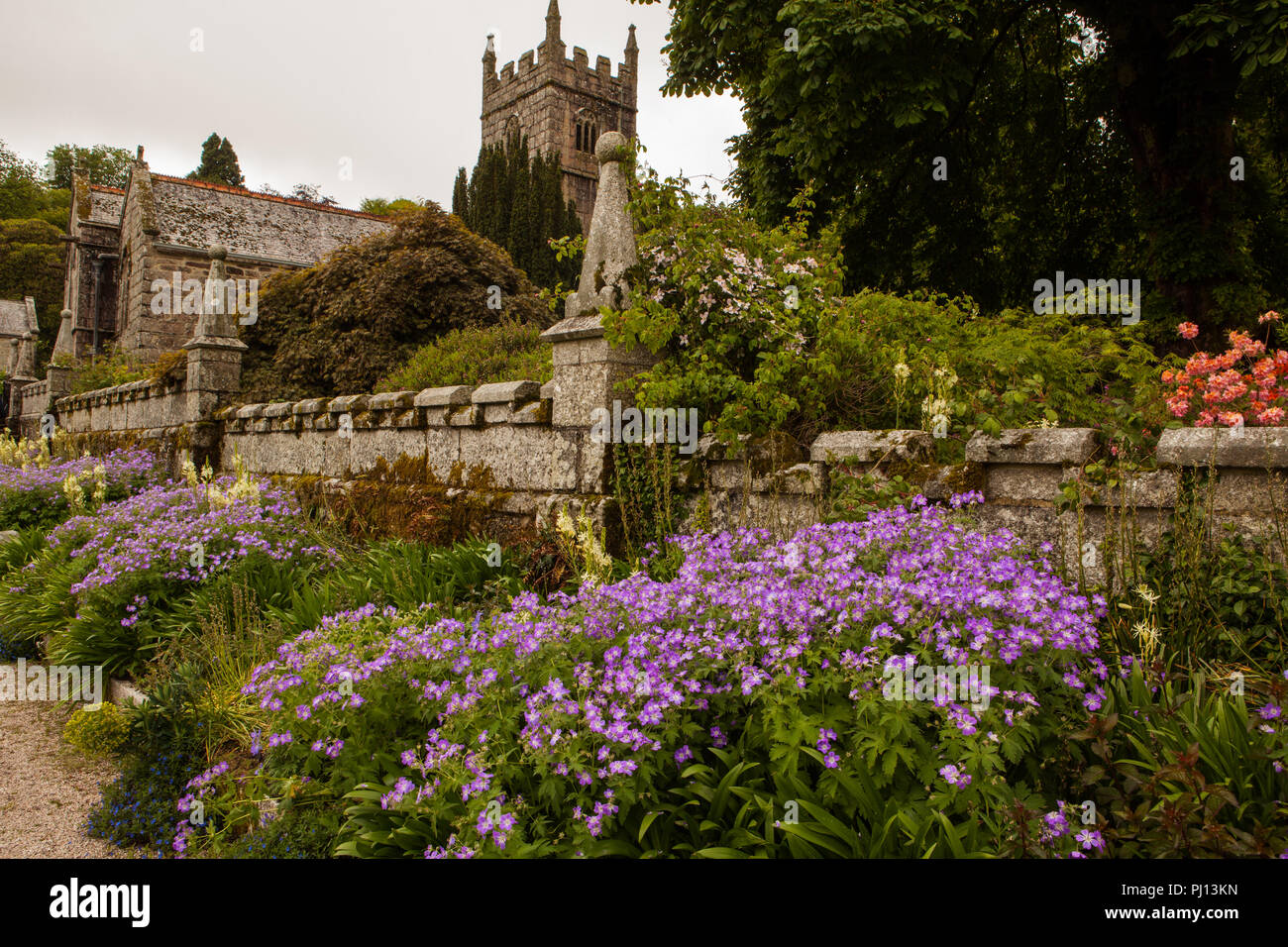 Cornwall england uk garden hi-res stock photography and images - Alamy