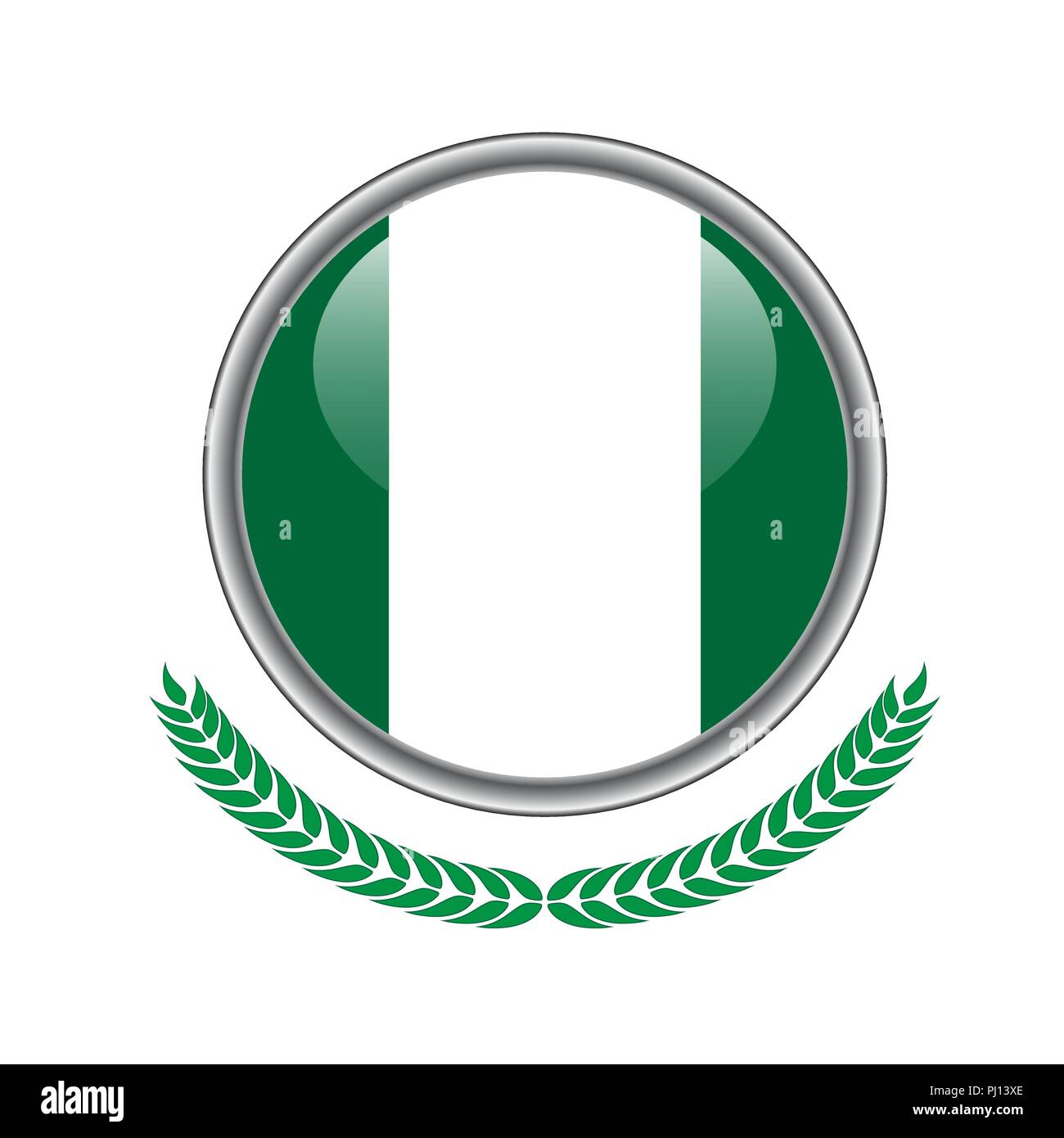 nigeria flag button. nigeria flag icon. Vector illustration of nigeria ...