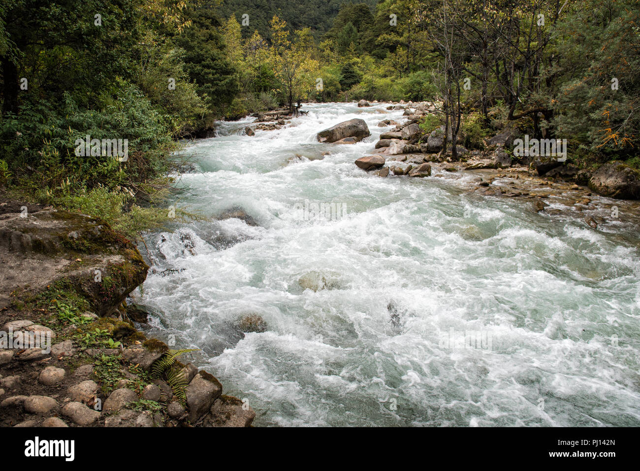 Paro chhu hi-res stock photography and images - Alamy
