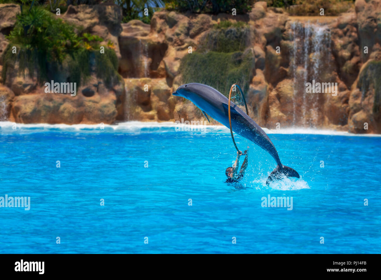 Zoo pool hi-res stock photography and images - Alamy