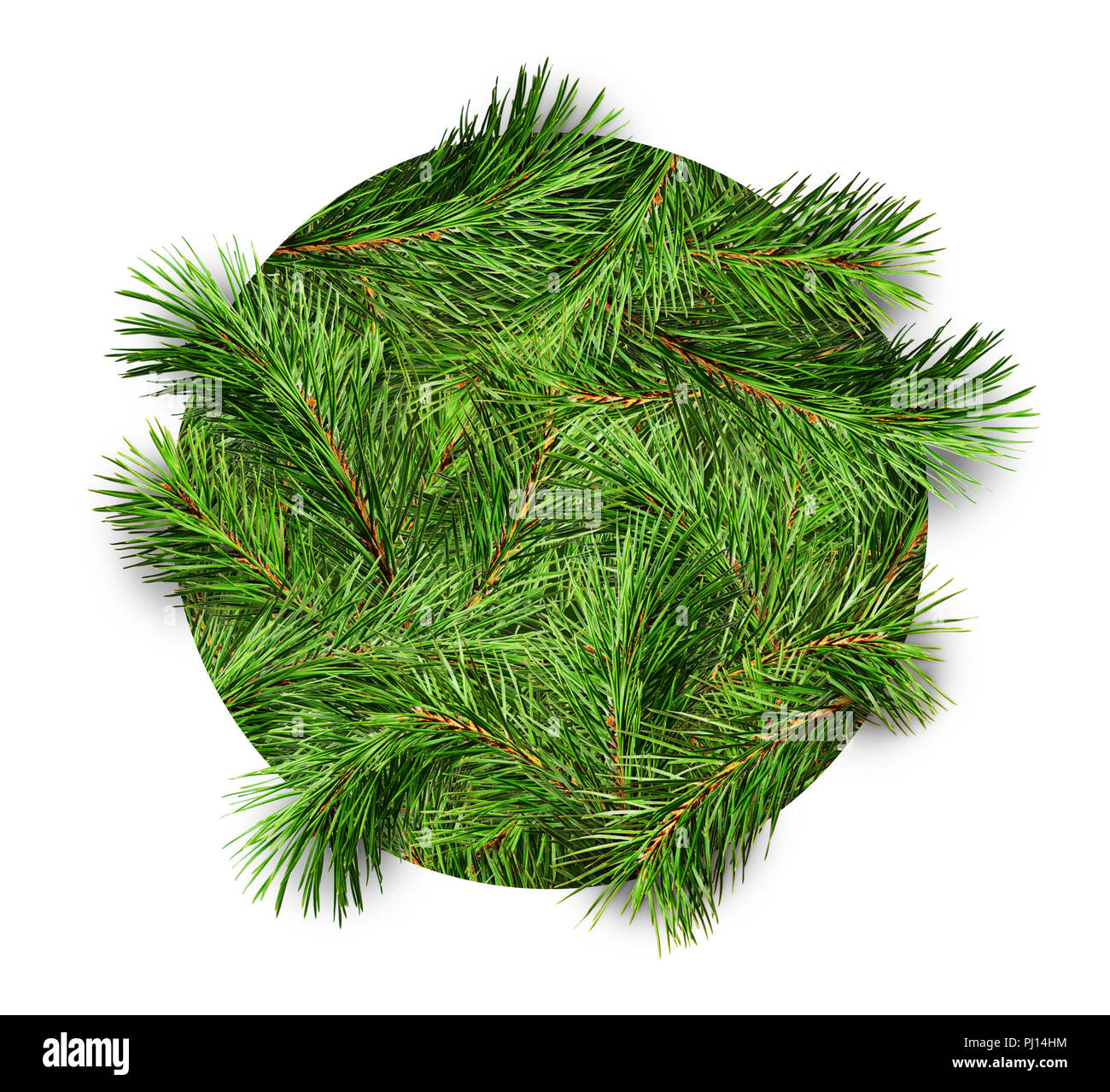 Eco wall in natural Cut Out Stock Images & Pictures - Alamy
